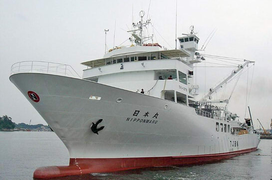 Round Haul Netter – NIPPON MARU – Kamome Propeller