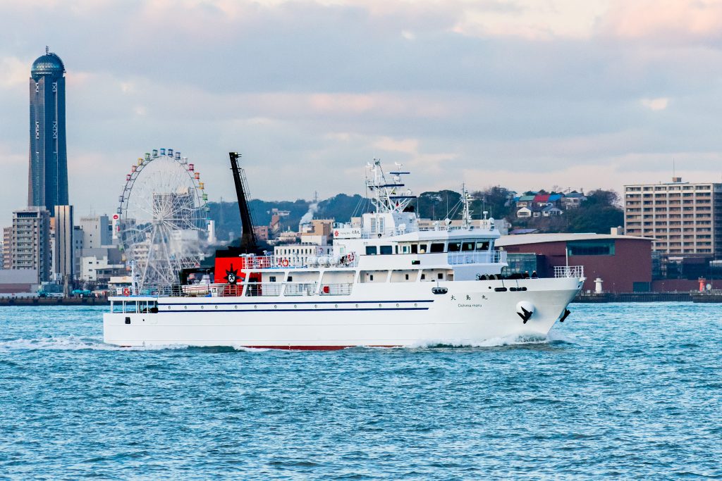 ゲートラダー®システム(GATE RUDDER® SYSTEM) – かもめプロペラ株式会社